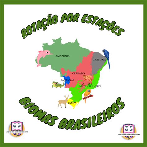 Biomas Brasileiros Activity