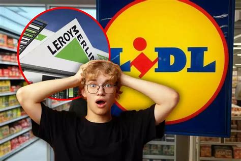 Lidl Crushes Leroy Merlin With The Accessory That Transforms Your