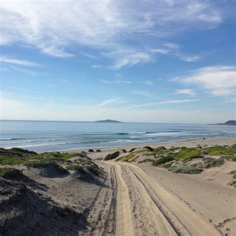 From Wildcoast Executive Director Serge Dedina The Wetlands Dunes