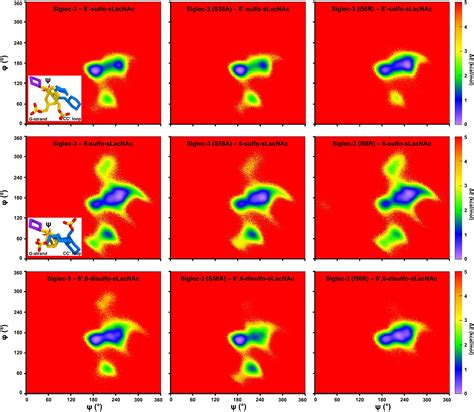 Sequence Variety In The Cc Loop Of Siglec 8 9 3 Determines The