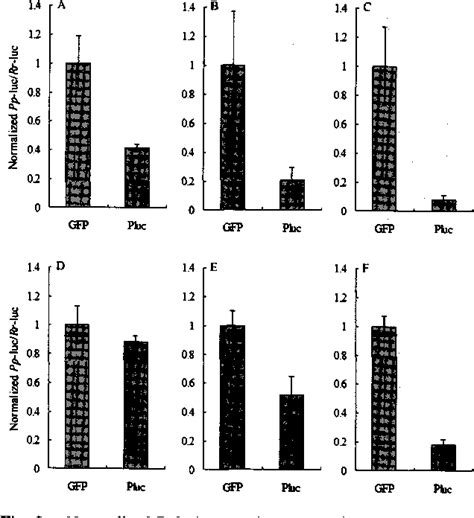 Figure 1 From A Transient Rna Interference Assaysystem Jssw Using