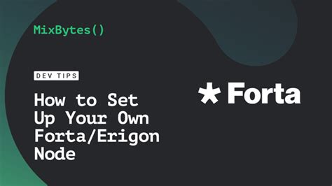 How To Set Up Your Own Fortaerigon Node