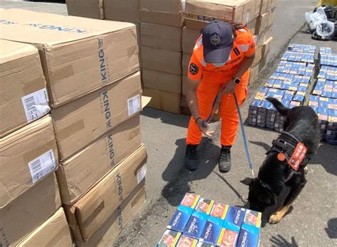 漁船充當倉庫 海巡署岸巡隊跟監埋伏查獲私菸 地方 Nownews今日新聞