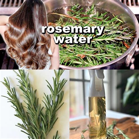 Rosemary Water For Hair Growth Diy Rosemary Water Recipe And How To Use