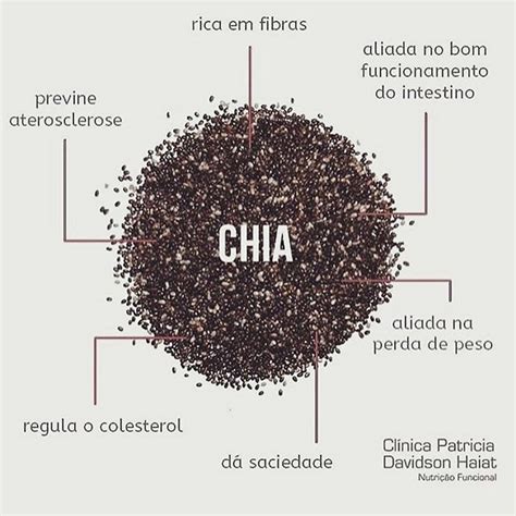 Chia Drawing Chia Properties Chia Seeds Images Nutri