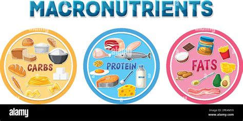 Macronutrients Diagram With Food Ingredients Illustration Stock Vector