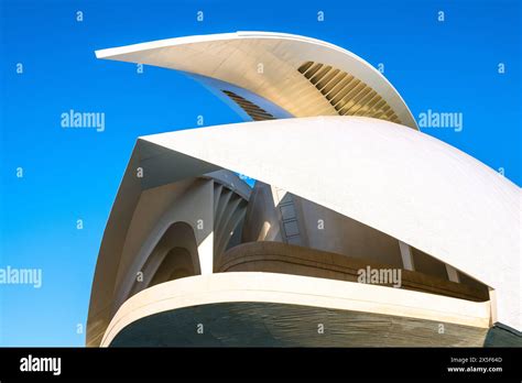 Palau De Les Arts Reina Sofía Palacio De Las Artes Reina Sofía Or Queen Sofia Palace Of The