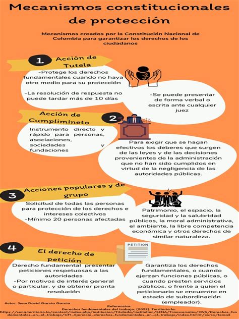 Mecanismos Constitucionales De Protección Pdf