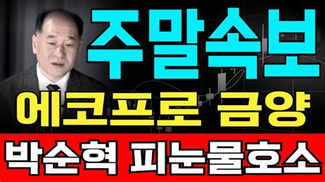 긴급속보 🚨 에코프로 금양 박순혁작가 피눈물 호소 금투세 청원 필참 전쟁입니다 에코프로 에코프로비엠 에코프로머티 포스코홀딩스 엘앤에프 금양 박순혁 서정덕tv