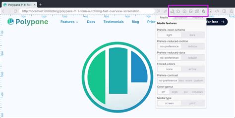 Polypane 91 Form Autofilling Fast Overview Screenshot And Outline