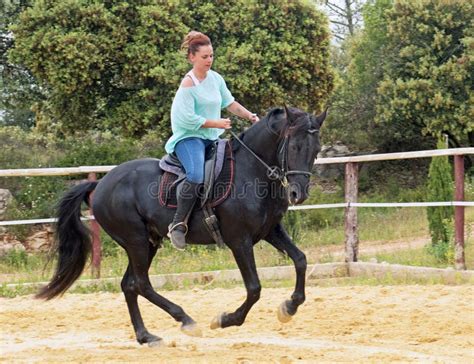 Riding Girl And Stallion Stock Image Image Of Training 93599893