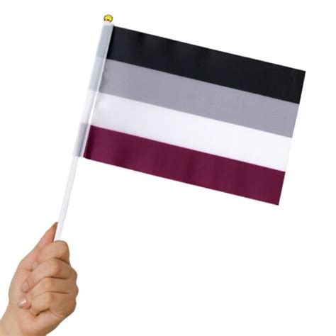 Asexual Pride Mini Stick Flags Lgbtq Small Hand Held Party Parade