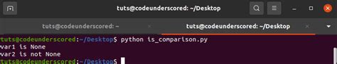 Python Null Using None Keyword To Assign A None Type Object
