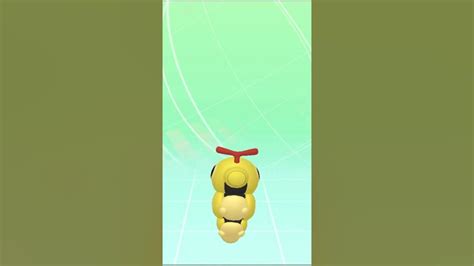 ポケモン キャタピー色違い Caterpie Shiny Free Youtube
