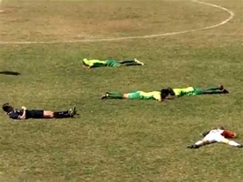 G1 Ataque De Abelha Interrompe Jogo Do Campeonato Paulista Em