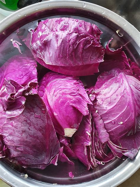 양배추 절임 만들기