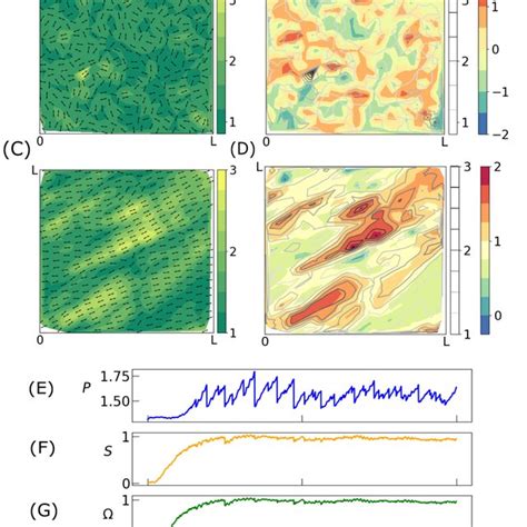 Panel Showing Results From Voronoi Vertex Model Simulations Where A Download Scientific Diagram