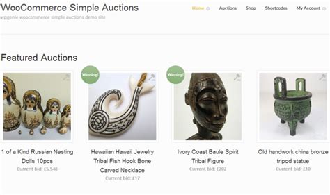 6 Best Woocommerce Auctions Plugins 2024 Learnwoo