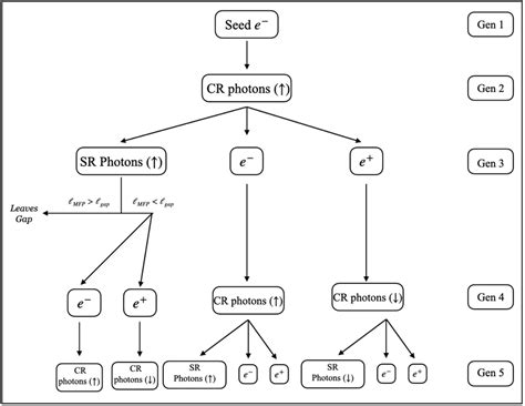FIG S2 Schematic Depiction Of The Generations Of Particle Creation In