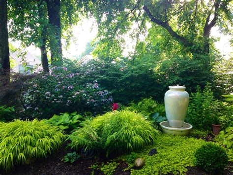 Shade Garden Japanese Forest Grass Hosta Creeping Jenny Hillside Garden Garden Images