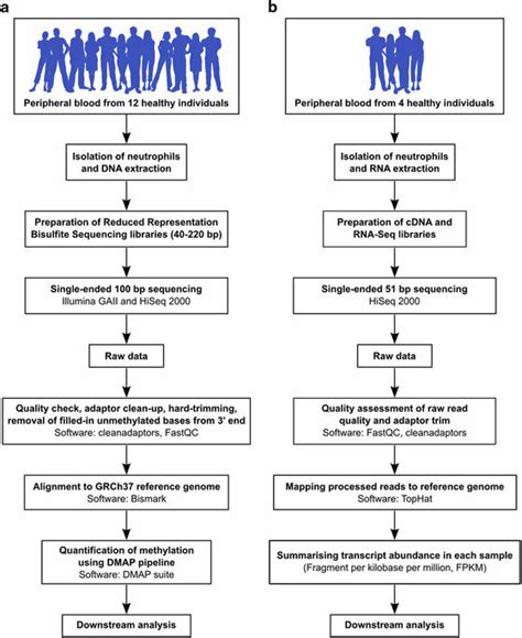 Description Of The Study And Experimental And Bioinformatics Pipeline Download Scientific