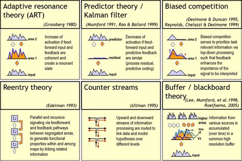 Theories Of Function Of Neural Architectures And Their Bottom Up And