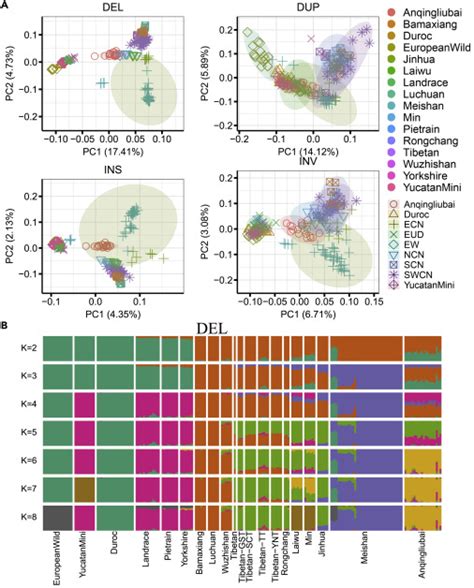 Pangenome Obtained By Long Read Sequencing Of 11 Genomes Reveal Hidden