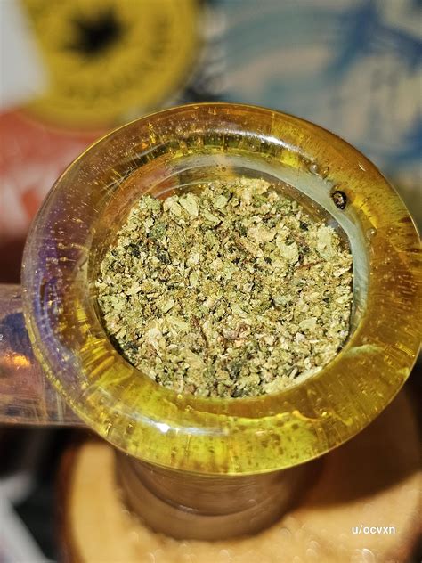 Versus Bc Purple Kush Review Rtheocs