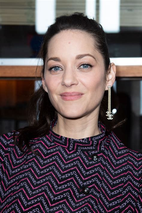 Marion Cotillard S Best Movies Ranked