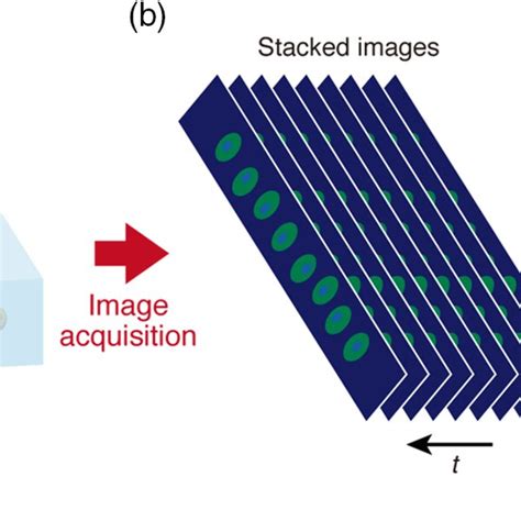 Schematic Of High Throughput Parallel Optofluidic D Ifcm A Image