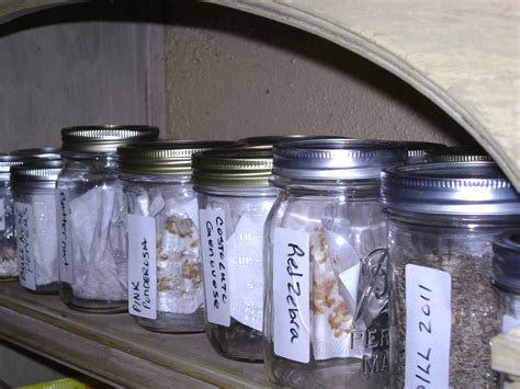 Seed Storage Growin Crazy Acres