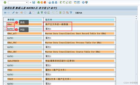 Sap 根据字段查找对应表 Sap根据字段查表 Csdn博客