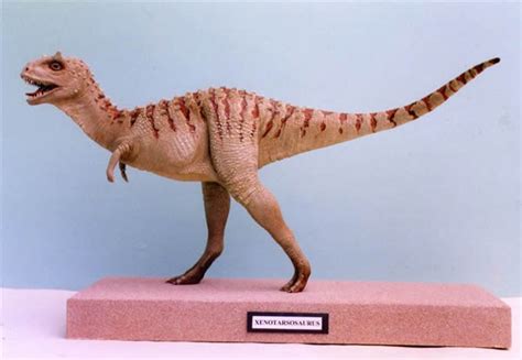 Xenotarsosaurus Dinosaur Wiki Fandom Powered By Wikia