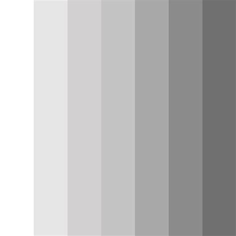 Soft Gray Color Palette Colordrop