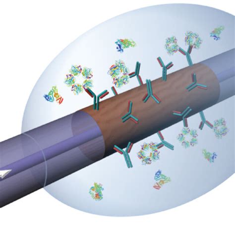 Schematic Illustration Of The Surface Sensing Of Biomolecules By An