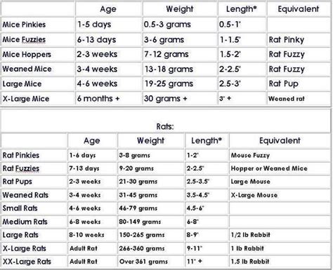Ball Python Size Chart Python Ball Obesity Body Condition Sn