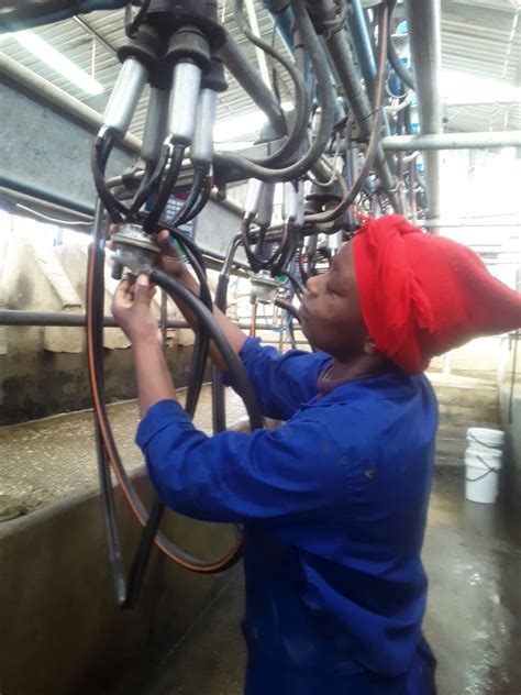 Miriam Mapako On Linkedin Linkedincommunity Miriammapako Linkedincommunity