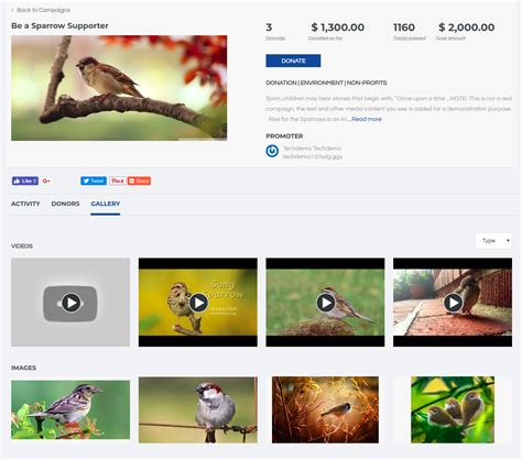 Screenshots Frontend
