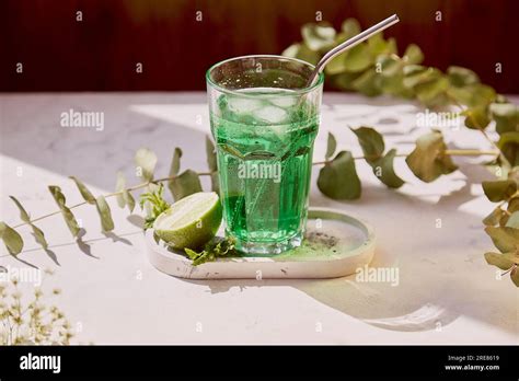 Aesthetic Citrus Healthy Tarragon Detox Sparkling Cocktail Non