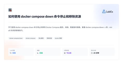 Docker Compose Down 命令使用指南：停止和清理容器资源 Labex