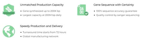 From Gene Synthesis To Plasmid Dna At Market Leading Speed