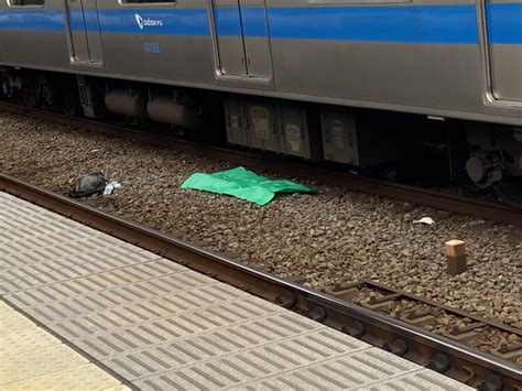 小田急小田原線 厚木駅で人身事故「電車に人が飛び込んで肉片が散乱、左腕や胴体がこっちにあるとか生々しい声が聞こえる」電車遅延 小田急線 12