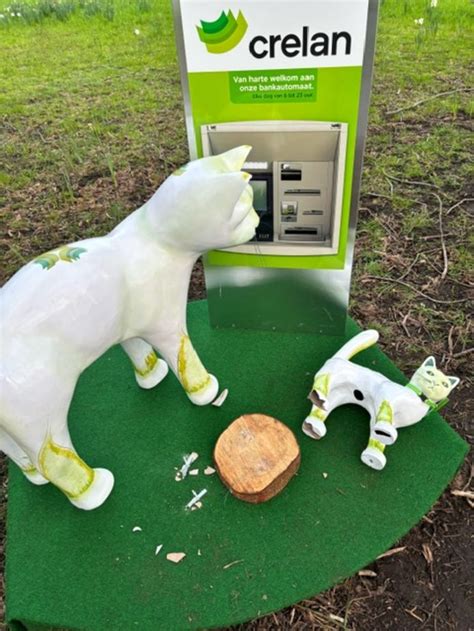 Voor Derde Keer Poes Beschadigd Tijdens Lente Op Den Dries Buggenhout Hln Be