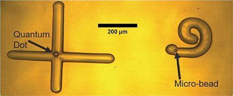 Hyperspectral Alignment Capability For Direct Writing Systems Enabled By… Department Of