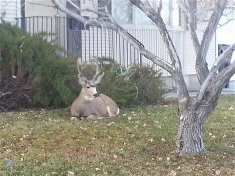 Random World Random World Added A New Photo