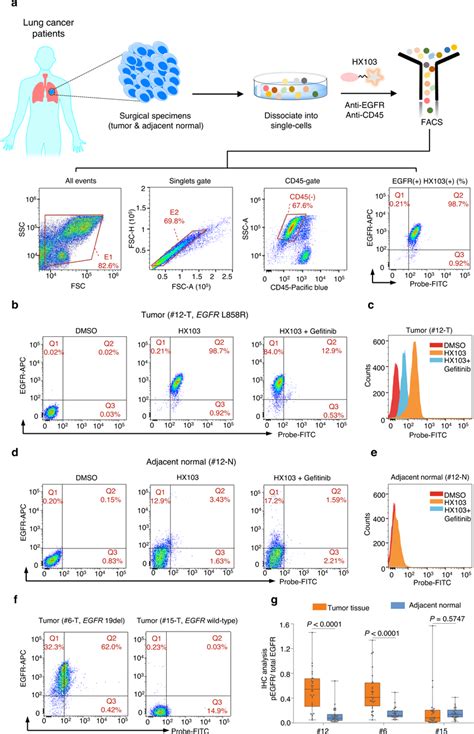 Application Of Hx103 To Differentiate Egfr Activating Mutations In