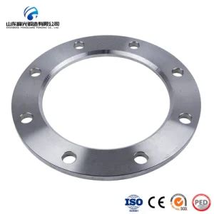 Table D Table E BS Flange BS Steel Pipe Flanges Weld Neck Flange And Forging Flange