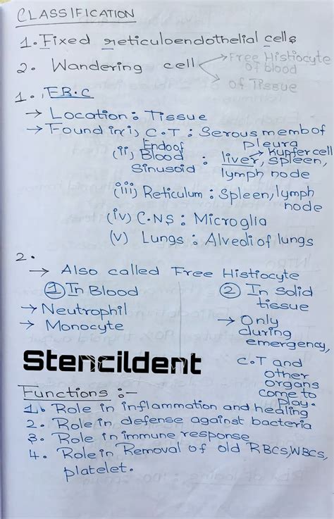 Reticuloendothelial System Formation Classification