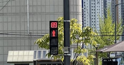 내년부터 도입되는 이것 운전자라면 꼭 확인하세요 차랄라