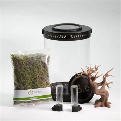 Customizable Praying Mantis Enclosure Kit Bantam V2 Mantis